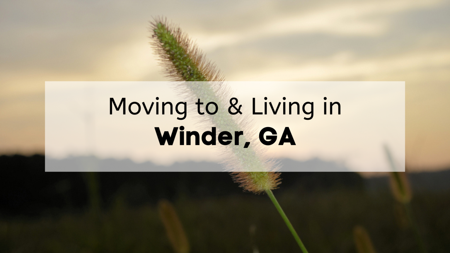 Moving to Winder GA? 🌳👪 | What Living in Winder Is Like - Wirks Moving