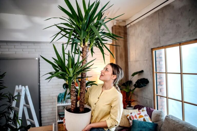 How to Move Big Plants: A Beginner's Guide to Relocating Large Greens ...
